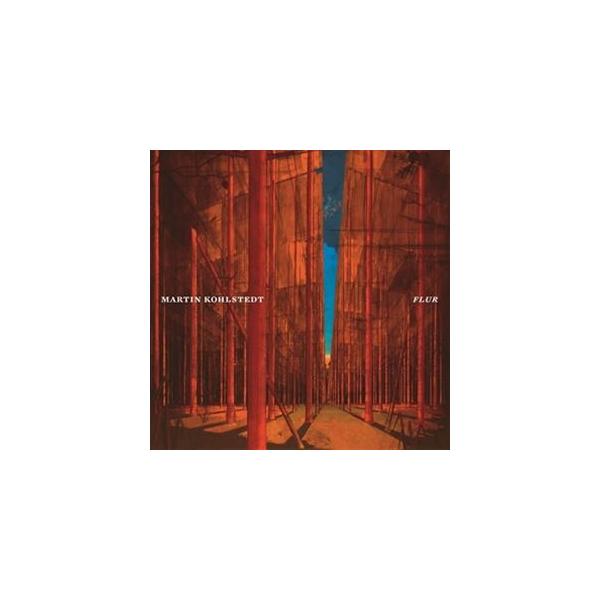 【発売日：2020年11月27日】種別:CD 【輸入盤】 イージーリスニングヒーリング/ニューエイジ 発売日:2020/11/27 登録日:2020/10/30 マーティン・コールステッド フラー 内容:1. LUN2. ZIN3. QUO...