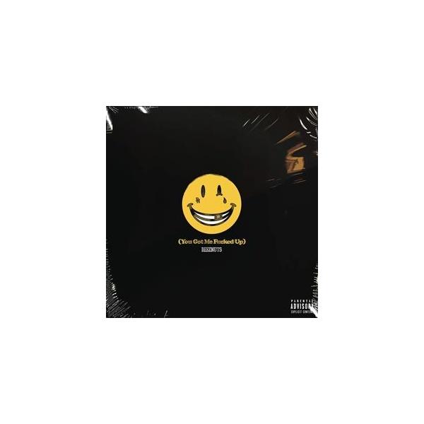 【発売日：2019年10月18日】種別:CD 【輸入盤】 洋楽ロック 発売日:2019/10/18 登録日:2019/09/26 ディーズ・ナッツ ユー・ゴット・ミー・ファックド・アップ 内容:1. Singalong2. You Got ...