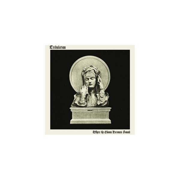 【発売日：2021年01月29日】種別:CD 【輸入盤】 洋楽ハードロック/ヘヴィメタル 発売日:2021/01/29 登録日:2020/12/25 トリビュレーション ホエア・ザ・グルーム・ビカムズ・サウンド 内容:1. In Remem...