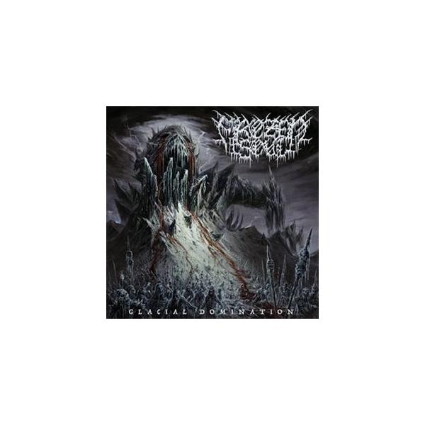 【発売日：2023年05月19日】種別:CD 【輸入盤】 洋楽ハードロック/ヘヴィメタル 発売日:2023/05/19 登録日:2023/05/02 スローズン・ソウル グラシアル・ドミネーション 内容:1. Invisible Torme...