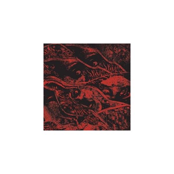 【発売日：2022年09月02日】種別:LP 【輸入盤】 洋楽ロック 発売日:2022/09/02 登録日:2022/09/15 ヴァーミン・ウーム リタリエイション 内容:1. Crumbling World Without Joy2. ...