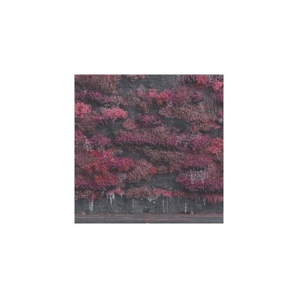 【発売日：2025年05月09日】種別:CD 【輸入盤】 洋楽ロック 発売日:2025/05/09 登録日:2025/04/04 スリープ・トークン イーヴン・イン・アルカディア 解説:RCA Records移籍第一弾となるスタジオ・アルバ...