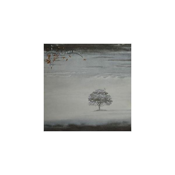 【発売日：2018年08月03日】種別:LP 【輸入盤】 洋楽ロック 発売日:2018/08/03 登録日:2018/07/19 ジェネシス ウィンド・アンド・ワザリング ジェネシス CD 内容:1. Eleventh Earl Of Ma...