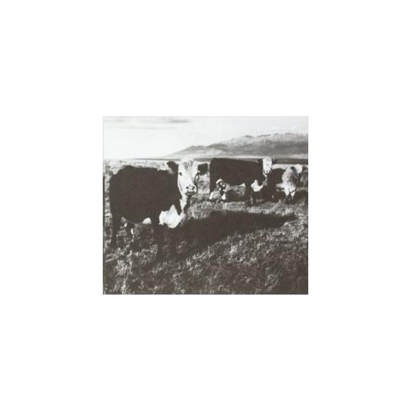 【発売日：2008年12月09日】種別:CD 【輸入盤】 洋楽ロック 発売日:2008/12/09 登録日:2016/07/29 マーク・コゼレック ファイナリー・LP（デジパック） 内容:1. Piano Song2. Finally3....