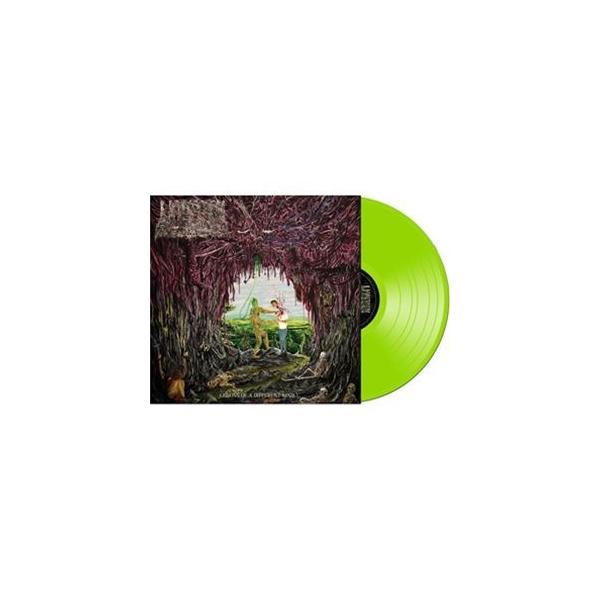 【発売日：2022年03月04日】種別:LP 【輸入盤】 洋楽ハードロック/ヘヴィメタル 発売日:2022/03/04 登録日:2021/12/03 アンデス リージョンズ・オブ・ア・ディファレント・カインド（カラード・ヴァイナル） 内容:...