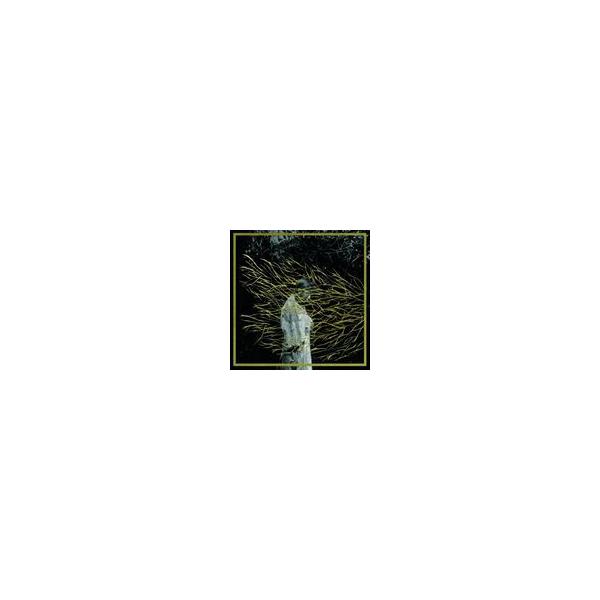【発売日：2013年09月17日】種別:CD 【輸入盤】 洋楽クラブ/テクノ 発売日:2013/09/17 登録日:2013/11/14 フォレスト・ソーズ エングラビングス