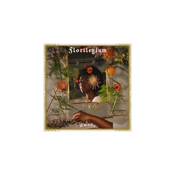 【発売日：2025年04月25日】種別:CD 【輸入盤】 洋楽ロック 発売日:2025/04/25 登録日:2025/01/29 ウワデ フロリレジウム 内容:1. The Place in the Sky2. Call It A Draw...