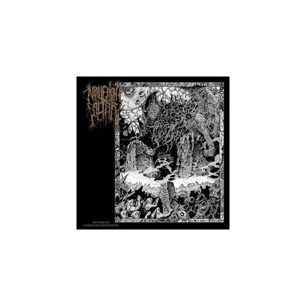 【発売日：2021年12月17日】種別:CD 【輸入盤】 洋楽ハードロック/ヘヴィメタル 発売日:2021/12/17 登録日:2022/01/21 マリグナント・オルター レルムズ・オブ・エクスクイジット・モービディティ 内容:1. Ch...