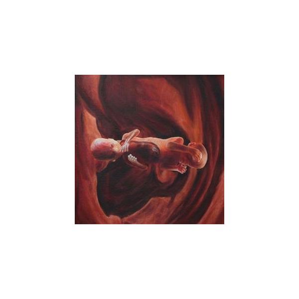 【発売日：2024年04月26日】種別:LP 【輸入盤】 洋楽ハードロック/ヘヴィメタル 発売日:2024/04/26 登録日:2024/03/19 コウアレス 0：12・レヴォリューション・イン・ジャスト・リスニング 内容:［Side A...