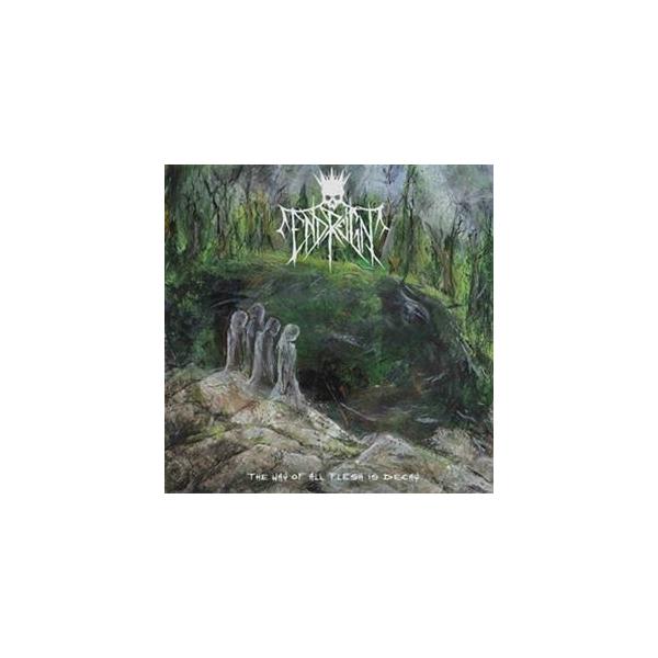 【発売日：2023年07月14日】種別:LP 【輸入盤】 洋楽ハードロック/ヘヴィメタル 発売日:2023/07/14 登録日:2023/05/25 エンド・レイン ザ・ウェイ・オブ・オール・フレッシュ・ディケイ（カラー） 内容:［Side...