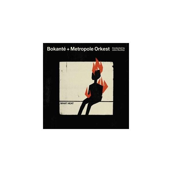 【発売日：2018年09月28日】種別:CD 【輸入盤】 洋楽ワールドミュージックその他 発売日:2018/09/28 登録日:2018/08/29 ボカンテ・アンド・メトロポール・オーケストラ・アンド・ジュールズ・バックリー ホワット・ヒ...