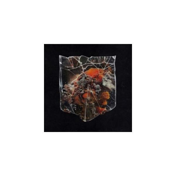 【発売日：2026年01月30日】種別:CD 【輸入盤】 洋楽ハードロック/ヘヴィメタル 発売日:2026/01/30 登録日:2025/10/10 シールズ デス・アンド・コネクション 内容:1. This Is Not A Dream2...