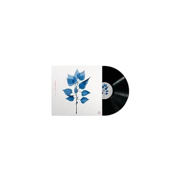 【発売日：2025年05月30日】種別:LP 【輸入盤】 洋楽ロック 発売日:2025/05/30 登録日:2025/04/18 マット・バーニンガー ゲット・サンク 内容:［Side A］1. Nowhere Special2. Litt...