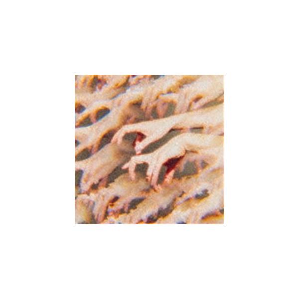 【発売日：2022年03月30日】種別:CD 邦楽J-POP 発売日:2022/03/30 販売元:エル・ディー・アンド・ケイ 登録日:2021/12/29 日食なつこ ニッショクナツコ ミメーシス 日食なつこ CD にっしょくなつこ にっ...