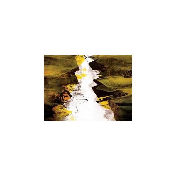 【発売日：2021年03月05日】種別:CD 【輸入盤】 洋楽ハードロック/ヘヴィメタル 発売日:2021/03/05 登録日:2022/12/23 リザード イロウデッド 内容:1. Blowdown2. Haywire3. Flood4...