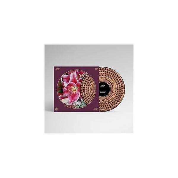 【発売日：2025年08月01日】種別:LP 【輸入盤】 洋楽ロック 発売日:2025/08/01 登録日:2025/06/06 リチャード・ハーレイ コールズ・コーナー（20TH・アニヴァーサリー・エディション）（ゾエトロープ） 内容:［...