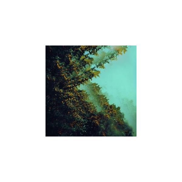 【発売日：2020年10月09日】種別:LP 【輸入盤】 洋楽ロック 発売日:2020/10/09 登録日:2020/08/07 ポリームーン キャタピラーズ・オブ・クリエイト