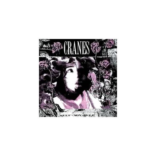 【発売日：2024年08月02日】種別:LP 【輸入盤】 洋楽ロック 発売日:2024/08/02 登録日:2024/06/28 クレインズ セルフ・ー・ノン・ー・セルフ（ブラック・アンド・ホワイト・マーブルド）・エクスパンデッド・エディシ...