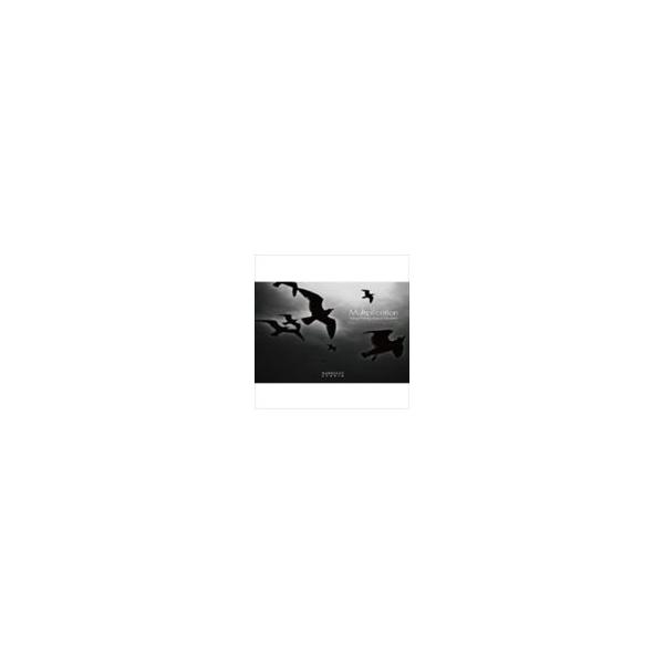 【発売日：2014年02月26日】種別:CD 【輸入盤】 洋楽アジアンポップス 発売日:2014/02/26 登録日:2014/03/03 ヤン・ワンヨル マルチプリケーション K-POP 輸入盤 一覧はコチラ