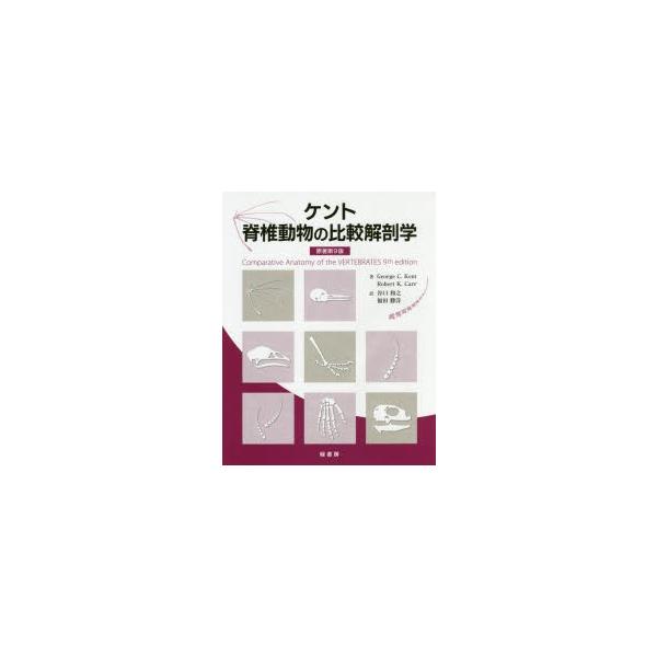 本 ISBN:9784895312455 George C.Kent／著 Robert K.Carr／著 谷口和之／訳 福田勝洋／訳 出版社:緑書房 出版年月:2015年11月 サイズ:540P 28cm 理学 ≫ 生物学 [ 動物学一般 ...