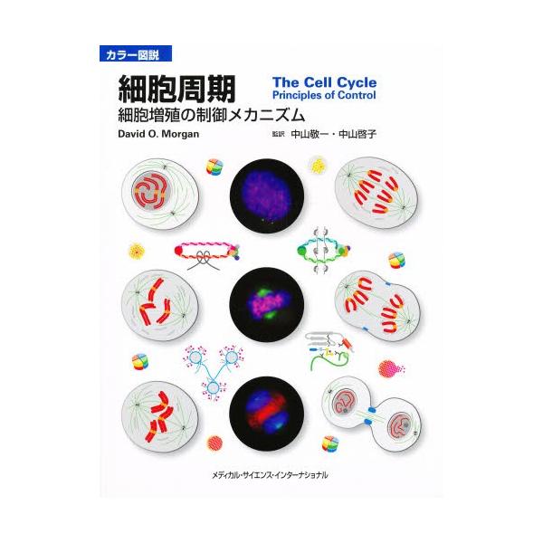 本 ISBN:9784895925587 デービッド O.モーガン／著 中山敬一／監訳 中山啓子／監訳 出版社:メディカル・サイエンス・インターナショナル 出版年月:2008年05月 サイズ:302P 28cm 医学 ≫ 基礎医学関連 [ ...