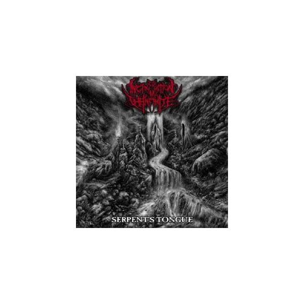 【発売日：2026年03月31日】種別:CD 洋楽ハードロック/ヘヴィメタル 発売日:2026/03/31 販売元:ディスクユニオン 登録日:2026/03/09 インシナレイション・イン・ザ・インフィニット インシナレイションインザインフ...