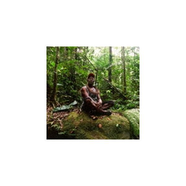 【発売日：2023年03月25日】種別:CD 洋楽サルサ/キューバ/カリビアン ※こちらの商品はインディーズ盤にて流通量が少なく、手配できない場合がございます 発売日:2023/03/25 販売元:ウルトラ・ヴァイヴ 登録日:2023/03...