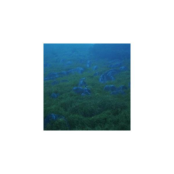 【発売日：2023年11月29日】種別:CD 邦楽ロック/ソウル ※こちらの商品はインディーズ盤にて流通量が少なく、手配できない場合がございます 発売日:2023/11/29 販売元:PCI MUSIC 登録日:2023/10/19 She...