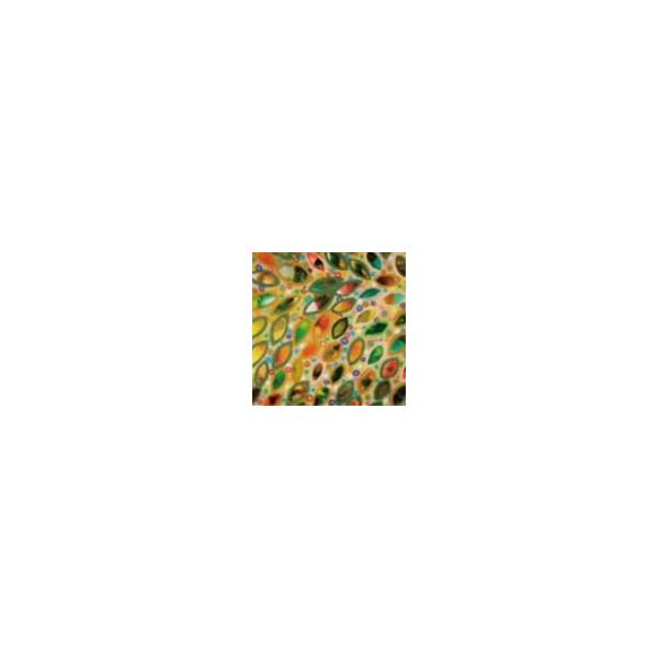 【発売日：2009年05月13日】種別:CD 邦楽クラブ/テクノ 発売日:2009/05/13 販売元:スペースシャワーネットワーク 登録日:2009/02/24 BASED ON KYOTO ベースドオンキョウト ベースドオンキョウト 内...