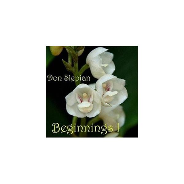 【発売日：2024年04月24日】種別:CD 洋楽ロック ※こちらの商品はインディーズ盤にて流通量が少なく、手配できない場合がございます 発売日:2024/04/24 販売元:ブリッジ 登録日:2024/04/18 Don Slepian ...