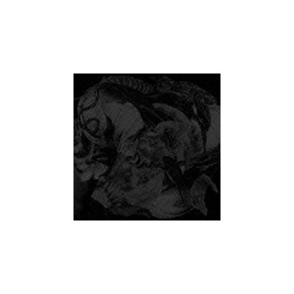 【発売日：2014年09月24日】種別:CD 邦楽ロック/ソウル ※こちらの商品はインディーズ盤にて流通量が少なく、手配できない場合がございます 発売日:2014/09/24 販売元:ディスクユニオン 登録日:2014/07/28 ENDO...