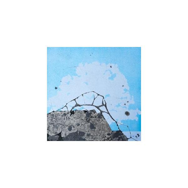 【発売日：2016年03月23日】種別:CD 洋楽クラブ/テクノ ※こちらの商品はインディーズ盤にて流通量が少なく、手配できない場合がございます 発売日:2016/03/23 販売元:アート・ユニオン 登録日:2016/02/22 （V.A...