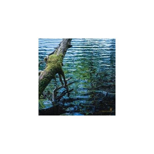 【発売日：2021年10月27日】種別:CD 邦楽J-POP ※こちらの商品はインディーズ盤にて流通量が少なく、手配できない場合がございます 発売日:2021/10/27 販売元:ダイキサウンド 登録日:2021/09/22 菅原一樹 スガ...