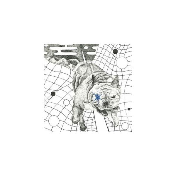 【発売日：2024年05月08日】種別:CD 邦楽ロック/ソウル ※こちらの商品はインディーズ盤にて流通量が少なく、手配できない場合がございます 発売日:2024/05/08 販売元:ウルトラ・ヴァイヴ 登録日:2024/06/04 Gla...