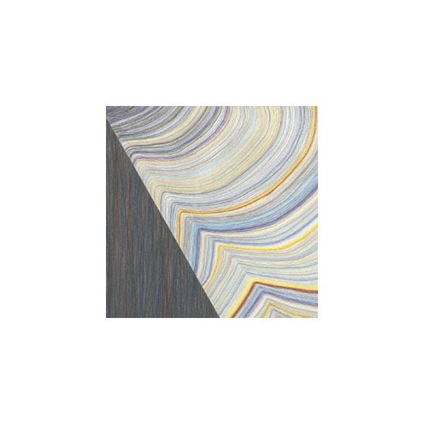 【発売日：2024年09月21日】種別:CD ジャズ・フュージョン海外ジャズ 発売日:2024/09/21 販売元:キングインターナショナル 登録日:2024/09/02 ビル・フリゼール、キット・ダウンズ、アンドリュー・シリル（el-g／...