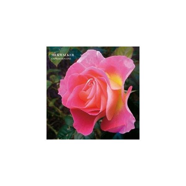 【発売日：2022年04月20日】種別:CD 邦楽クラブ/テクノ ※こちらの商品はインディーズ盤にて流通量が少なく、手配できない場合がございます 発売日:2022/04/20 販売元:ウルトラ・ヴァイヴ 登録日:2022/03/01 SIL...