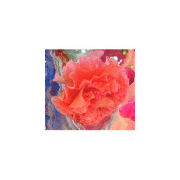 【発売日：2023年03月20日】種別:CD ジャズ・フュージョン海外ジャズ ※こちらの商品はインディーズ盤にて流通量が少なく、手配できない場合がございます 発売日:2023/03/20 販売元:インディーズメーカー 登録日:2023/06...