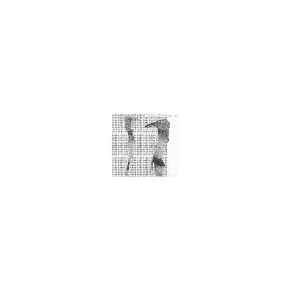 【発売日：2007年08月08日】種別:CD 洋楽ポップス 発売日:2007/08/08 販売元:エイベックス・ミュージック・クリエイティヴ 登録日:2007/06/08 ペンギン・カフェ・オーケストラ ペンギンカフェオーケストラ ペンギン...