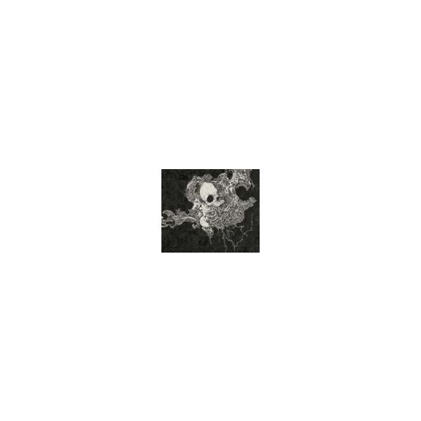 【発売日：2007年10月24日】種別:CD 邦楽ロック/ソウル 発売日:2007/10/24 販売元:ソニー・ミュージックソリューションズ 登録日:2007/09/04 Dir en grey ディルアングレイ ドゥージング グリーン D...