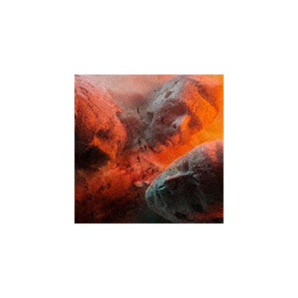 【発売日：2022年08月26日】種別:CD 洋楽ロック 発売日:2022/08/26 販売元:ソニー・ミュージックソリューションズ 登録日:2022/06/28 ミューズ ミューズ ウィル オブ ザ ピープル ジャパン リミテッド エディ...