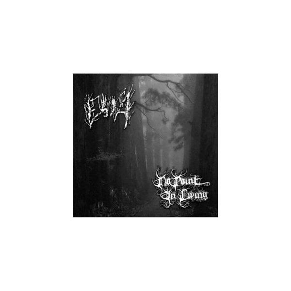 【発売日：2020年04月01日】種別:CD 邦楽ロック/ソウル ※こちらの商品はインディーズ盤にて流通量が少なく、手配できない場合がございます 発売日:2020/04/01 販売元:ラッツパック・レコード 登録日:2020/03/06 E...