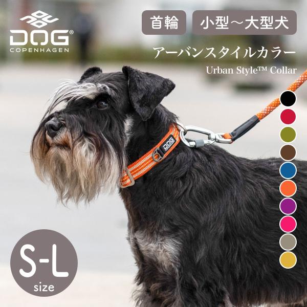 ●商品到着後、レビュー投稿でクーポンプレゼント中！