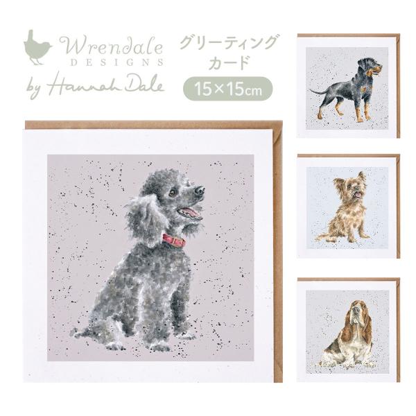 ●商品到着後、レビュー投稿でクーポンプレゼント中！