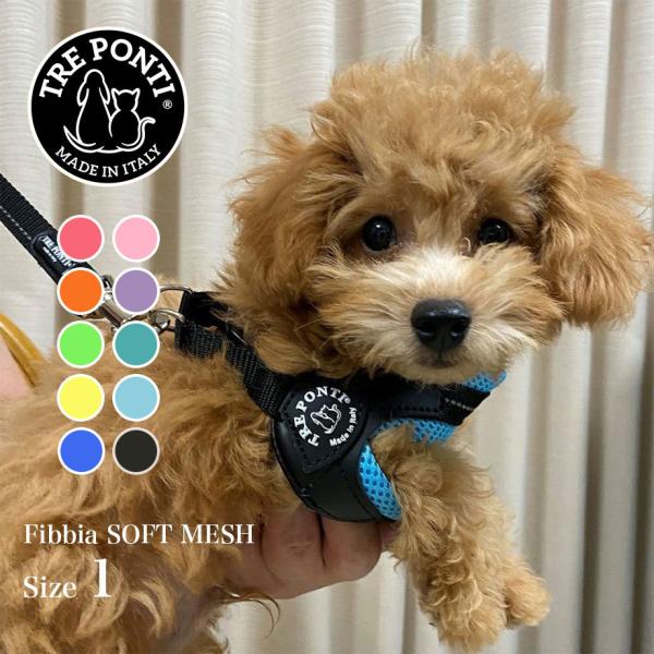 ●商品到着後、レビュー投稿でクーポンプレゼント中！