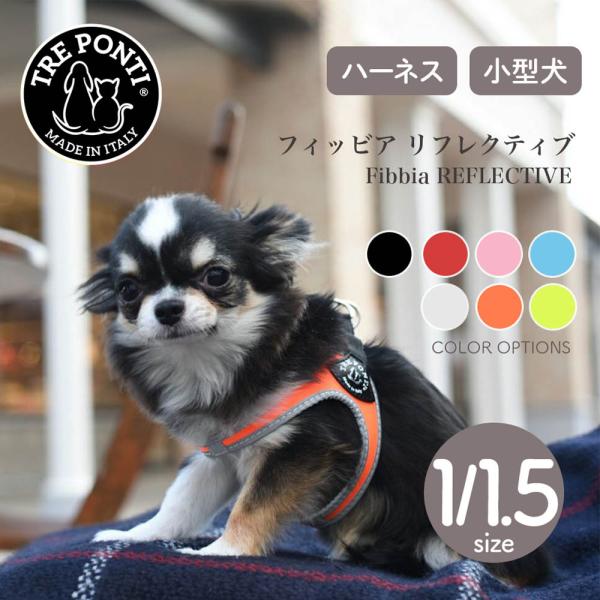 ●商品到着後、レビュー投稿でクーポンプレゼント中！