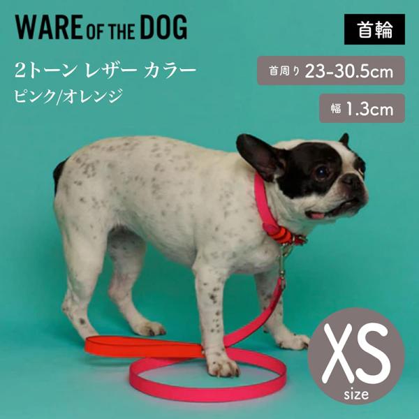 ●商品到着後、レビュー投稿でクーポンプレゼント中！