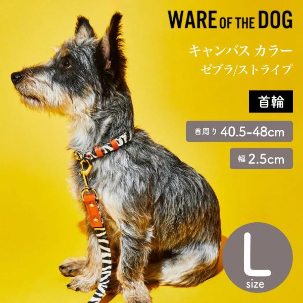 ●商品到着後、レビュー投稿でクーポンプレゼント中！