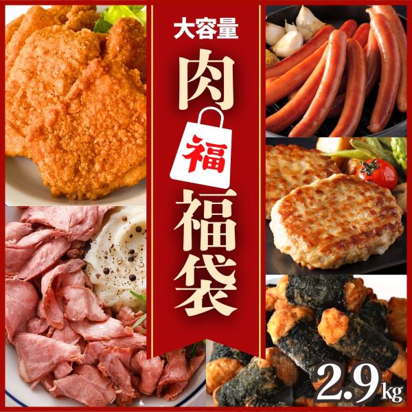 肉 福袋 食品 5種 2.9kg冷凍食品 アウトレット 業務用 ローストビーフ ハンバーグ フライドチキン ウインナー チキン 唐揚げ お惣菜 おかず おやつ おつまみ お肉 冷凍 簡単調理 送料無料 ピクニック お花見 新生活