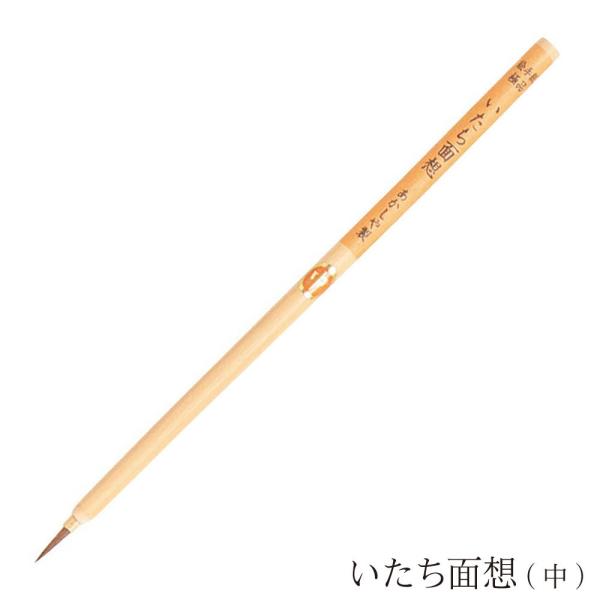商品名：いたち面想　中（いたちめんそう　ちゅう）商品サイズ：　5.5径×171mm外装サイズ：　30×210×6mm重　量：　4g穂の形状：　長鋒主原毛：　イタチ毛毛　色：　茶毛弾　力：　やや硬め適　性：　絵手紙・水墨画用用　途：　線引・細...