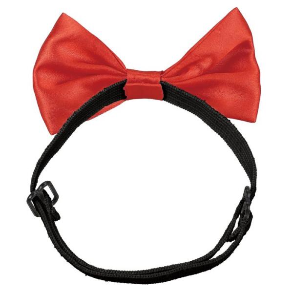 サイズ調節可能！商品サイズリボン：60×100mm、ひも（首回り）：340〜420mmセット内容本体のみ